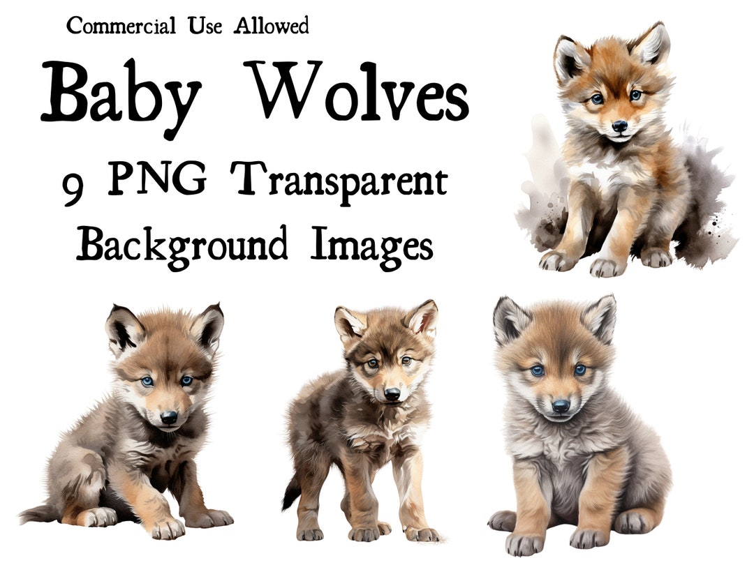 Baby Wolves Watercolor Clip Art Set of 9 PNG Images Transparent ...