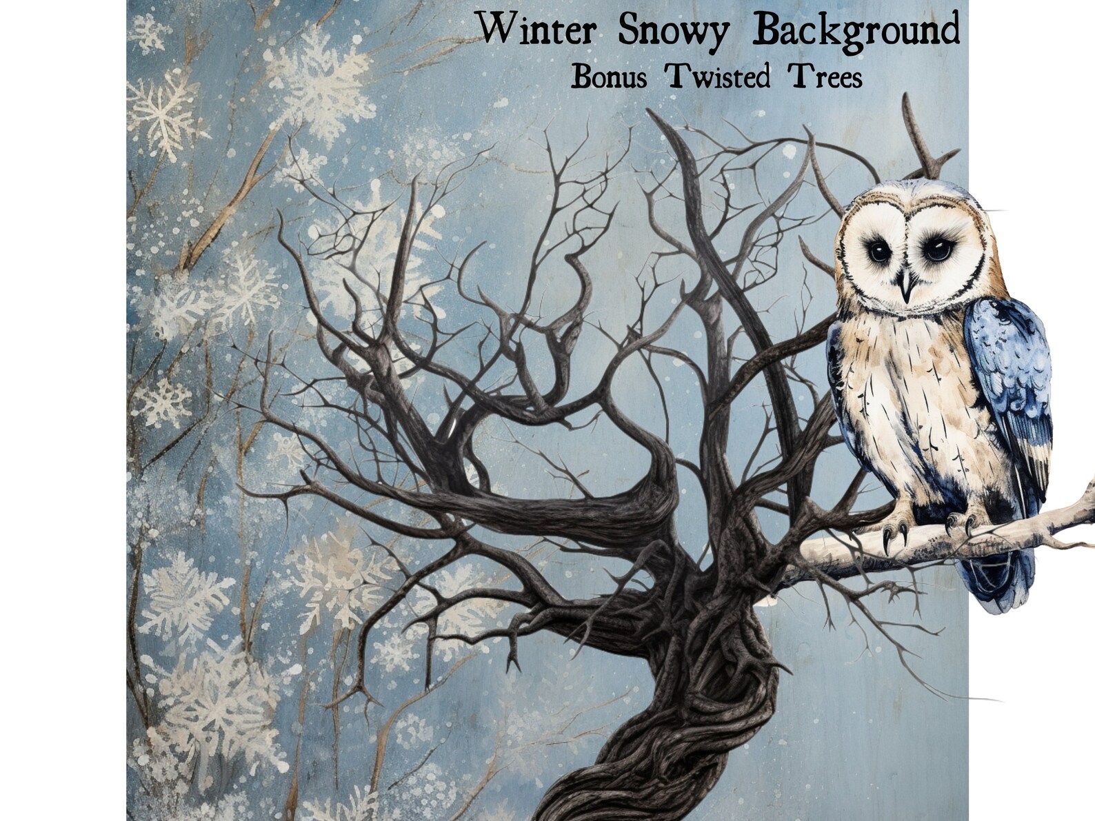 Winter Witch Clip Art Witchcraft Illustrations Witchy Winter Solstice ...
