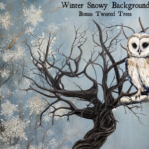 Winter Witch Clip Art Witchcraft Illustrations Witchy Winter Solstice ...