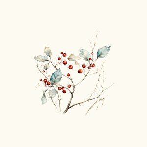 Holly Winter Berries Clip Art Set of 5 Images PNG Transparent ...