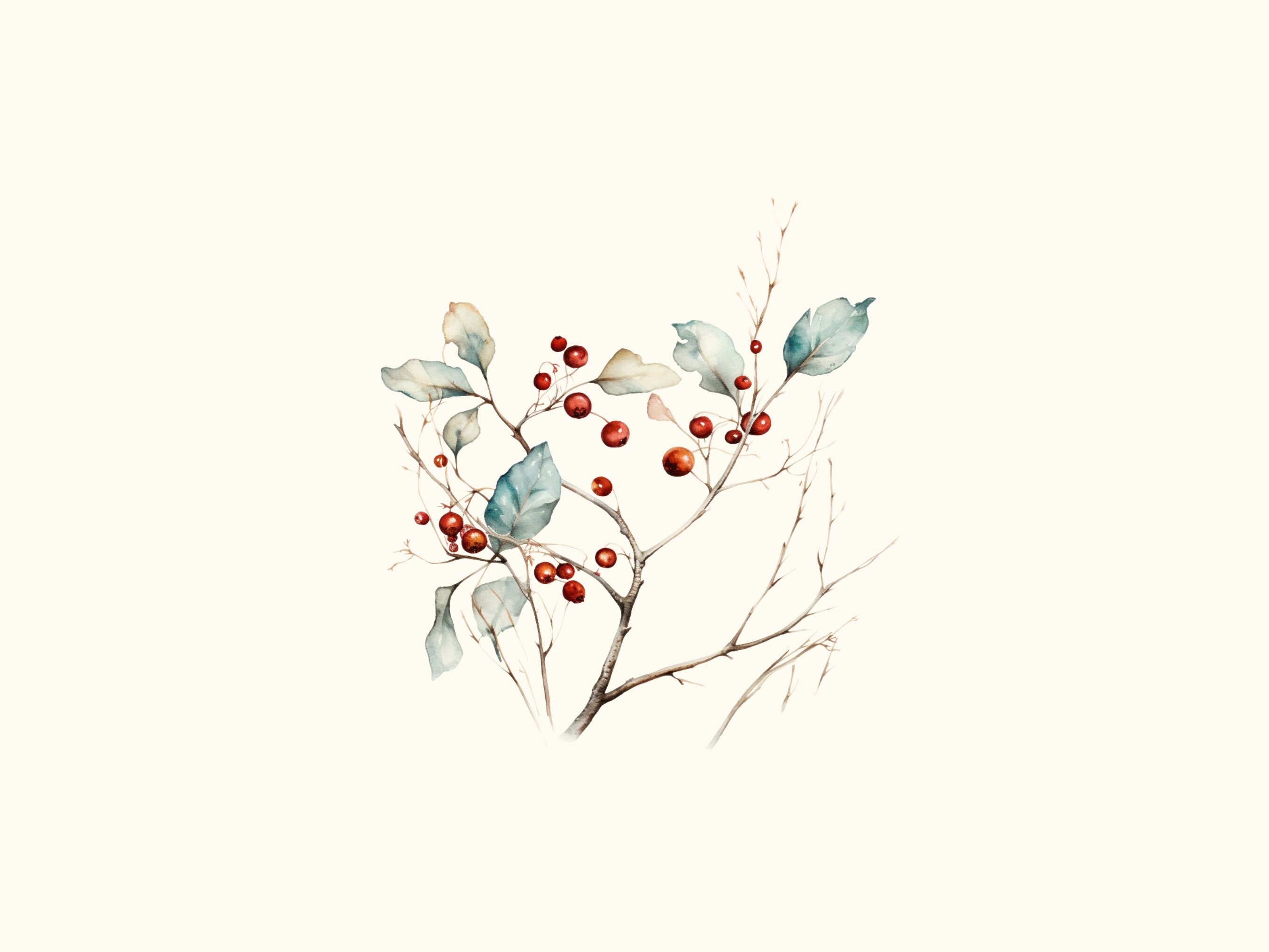 Holly Winter Berries Clip Art Set of 5 Images PNG Transparent ...