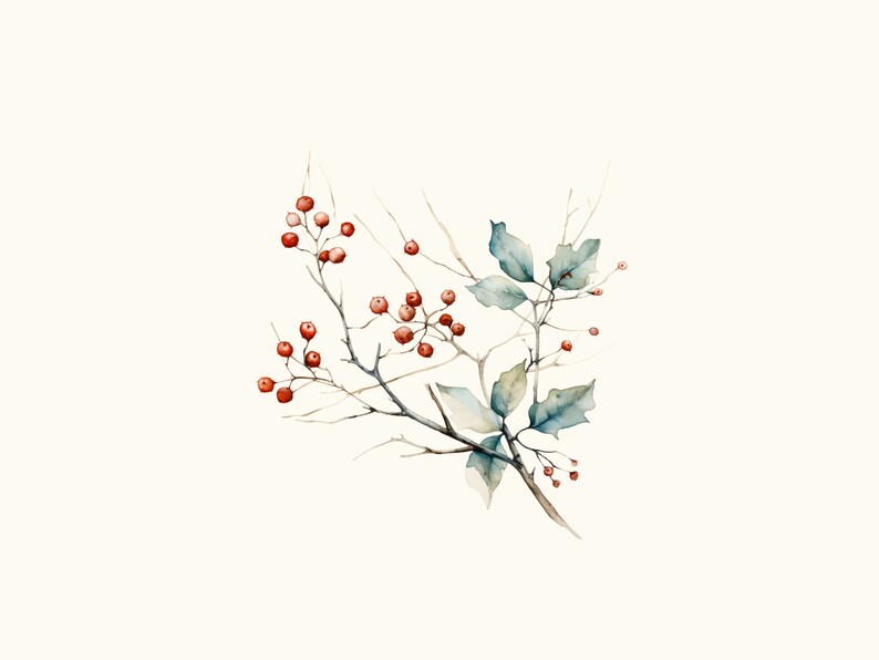 Holly Winter Berries Clip Art Set of 5 Images PNG Transparent ...