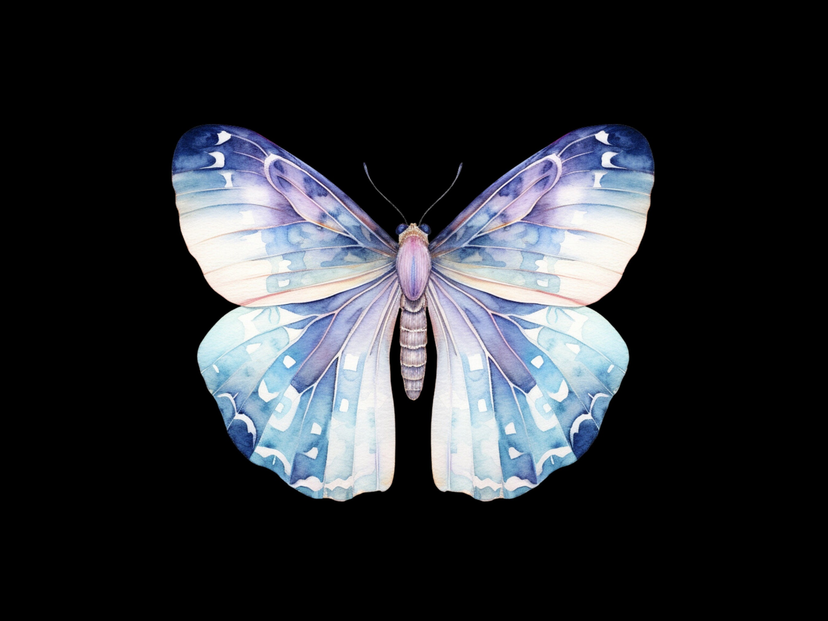 Purple Moth Clip Art 20 PNG Transparent Background High Resolution ...