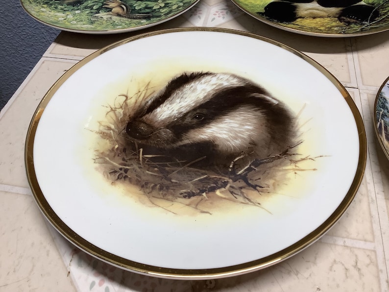 Plates YOUR Choice Wildlife Collections All Have a Chance to Be Yours ...