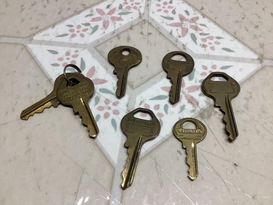 Set of 7 ALL Master Lock Keys That Came With the Padlocks When ...