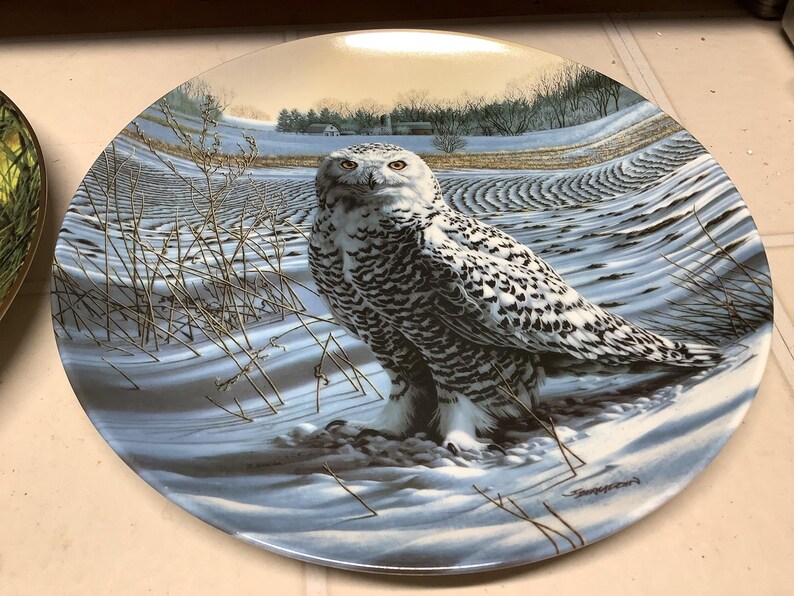Plates YOUR Choice Wildlife Collections All Have a Chance to Be Yours ...