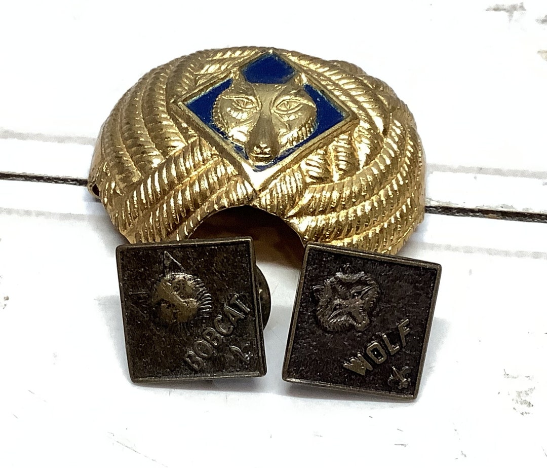 Vintage CSA Scarf Tie and Official BSA Wolf and Bobcat Pins From My ...