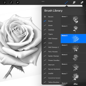 Procreate - Realistic Roses - Rose References, Procreate Brushset - Etsy