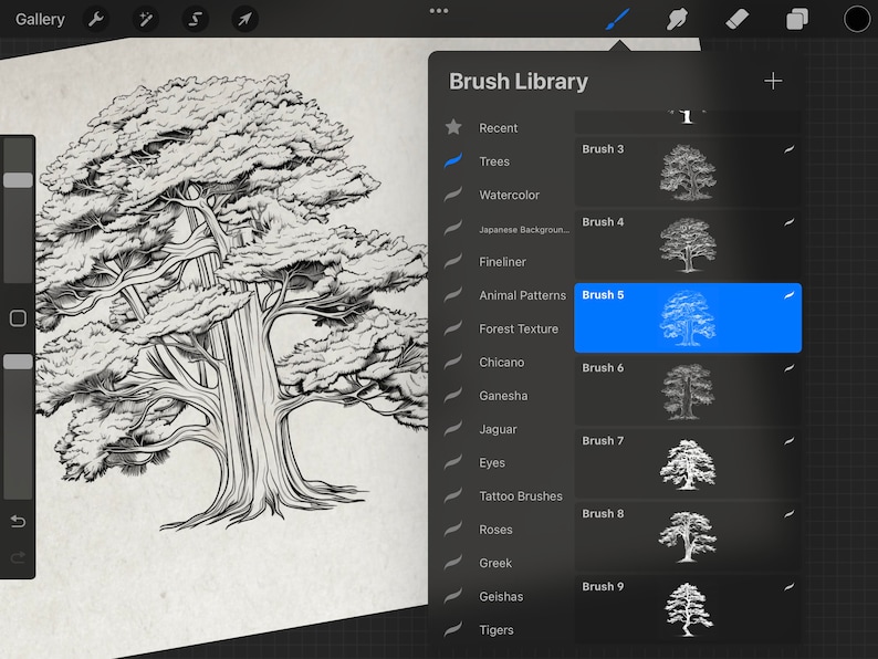 Procreate - Tree Stamps, Realistic Tree Brushes, Nature Series, Digital ...