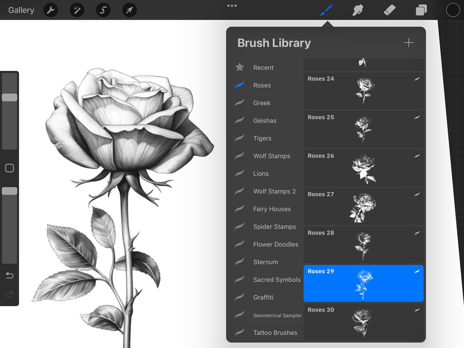 Procreate - Realistic Roses - Rose References, Procreate Brushset - Etsy
