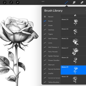 Procreate - Realistic Roses - Rose References, Procreate Brushset - Etsy