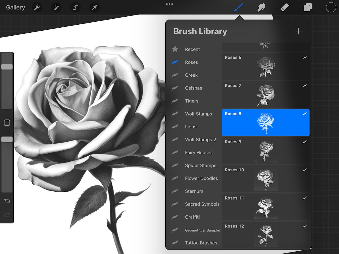 Procreate Realistic Roses Rose References Procreate - Etsy