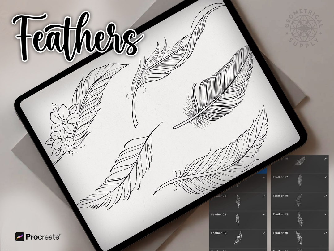 Procreate Feathers - 40 Feather Tattoo Designs - Feather Procreate Stamps - Tattoo Flash - Etsy