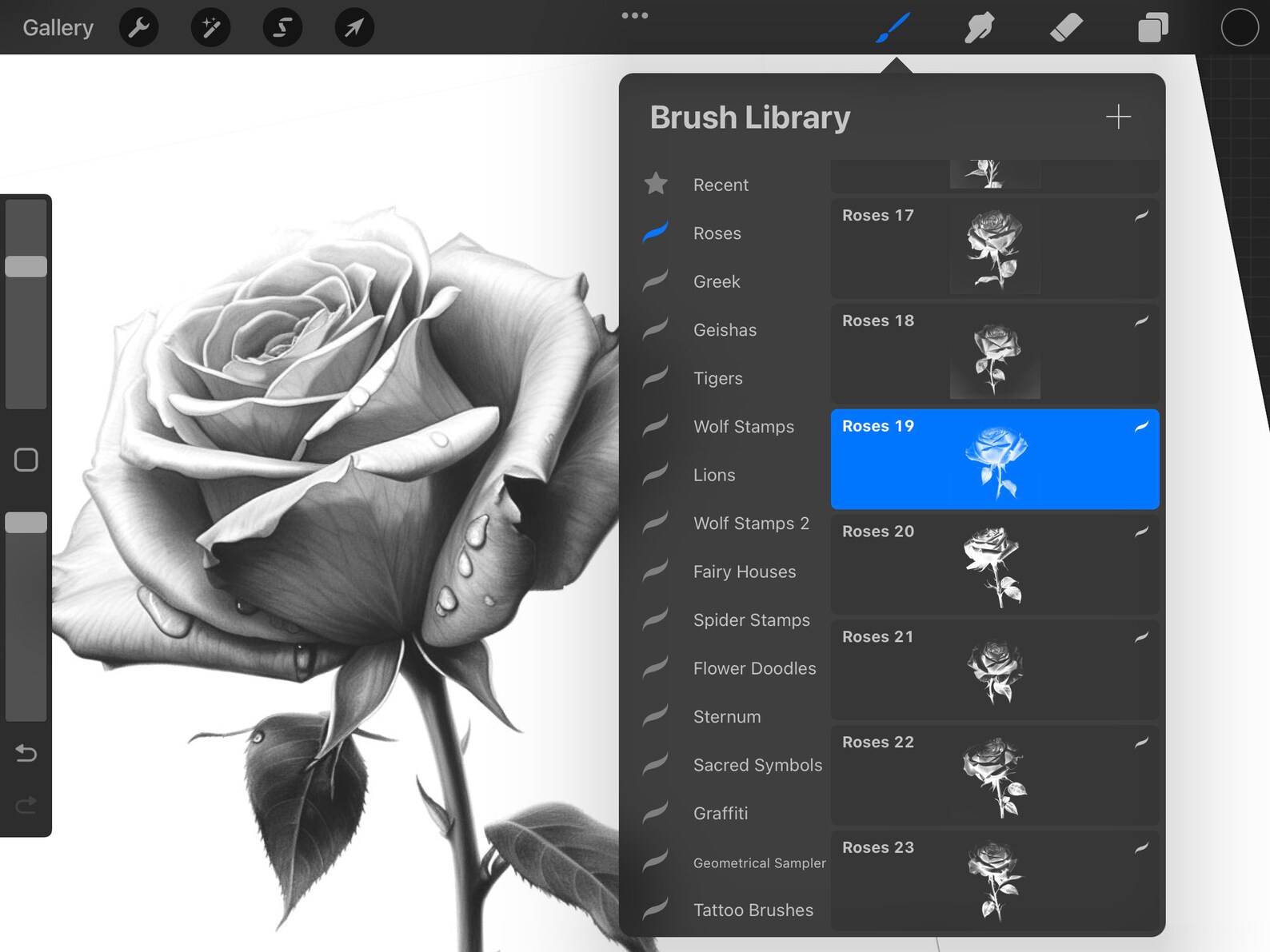 Procreate - Realistic Roses - Rose References, Procreate Brushset - Etsy
