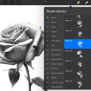 Procreate - Realistic Roses - Rose References, Procreate Brushset - Etsy