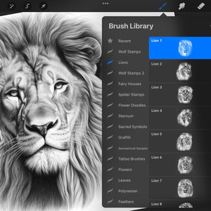 Procreate - 30 Lion Designs - Lion Portrait Tattoo Stamps - Digital ...