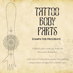Procreate - Body Parts - Tattoo Body Templates - Male & Female - Etsy
