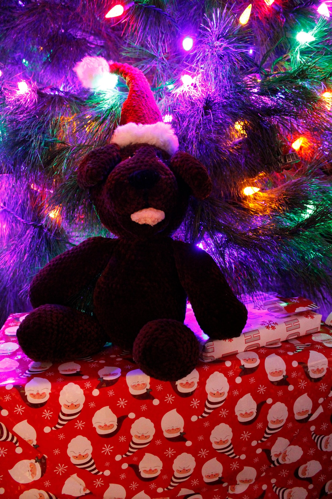 Charlie the Chocolate Labrador - Etsy