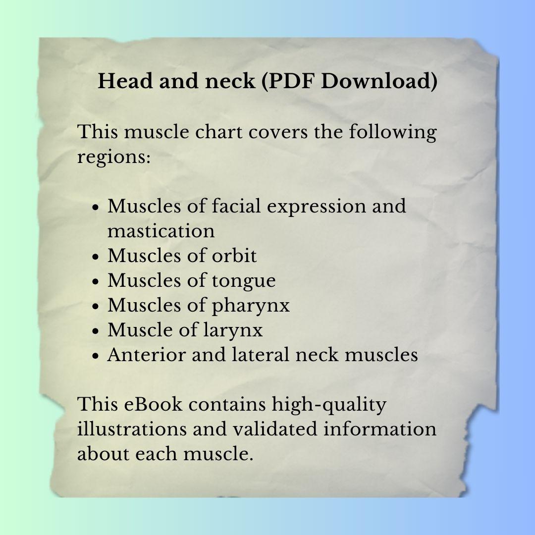 Head and Neck Muscle Anatomy Chart PDF Printable Study Guide Facial ...