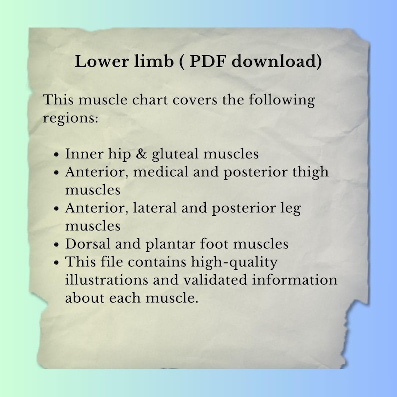 Lower Limb Muscle Chart PDF Anatomy Study Guide Hip, Thigh, Leg and ...