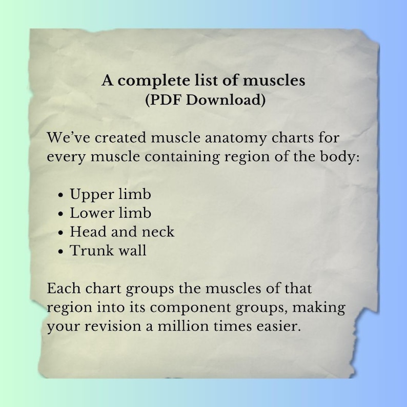Printable Muscle Anatomy Charts 600+ Muscles Study Guide Full Body ...