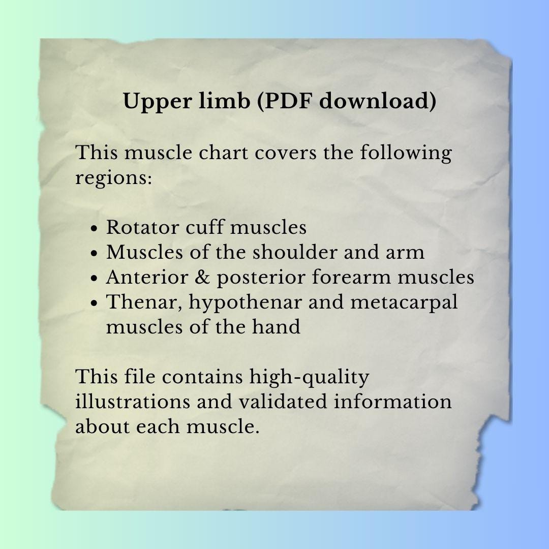 Upper Limb Muscle Chart Ebook Printable PDF Study Guide Shoulder, Arm ...