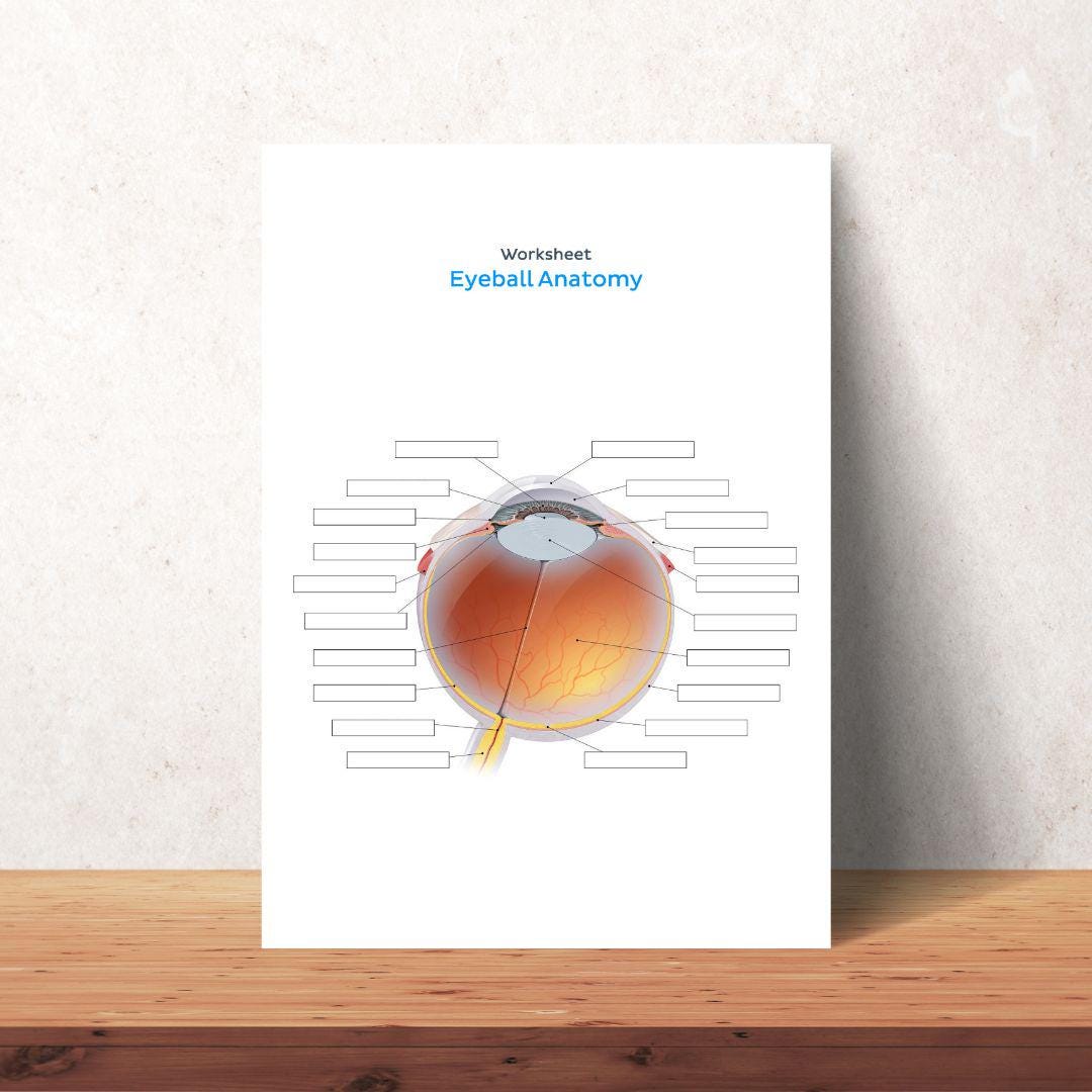 Eyeball Anatomy Printable PDF Labeled & Blank Diagram of Human Eye ...