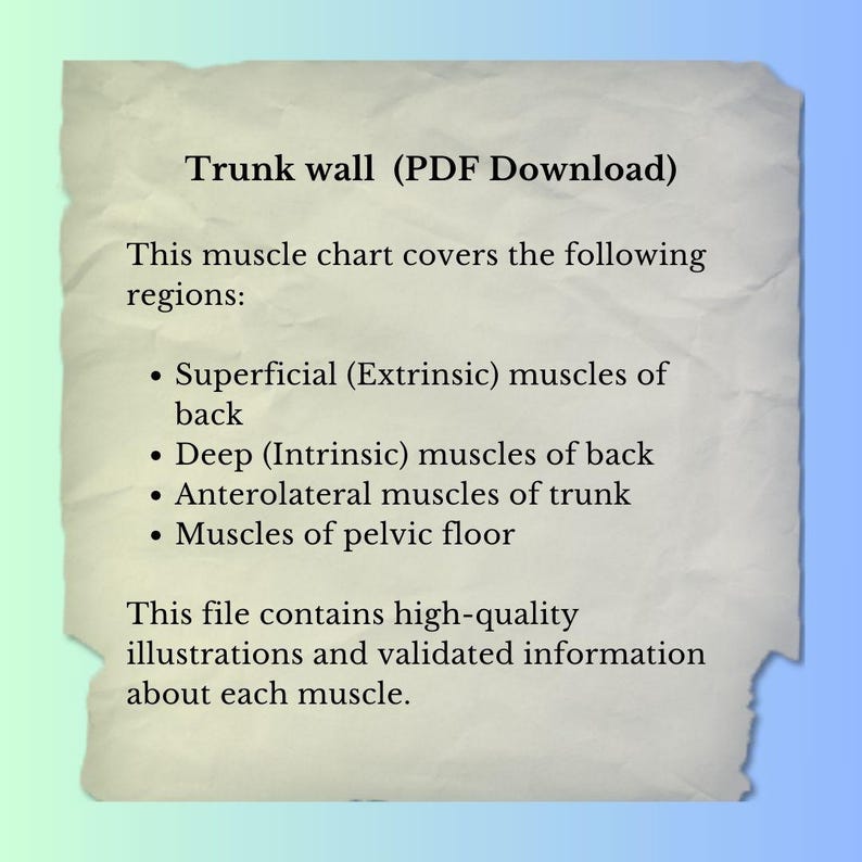 Trunk Wall Muscle Anatomy Chart Printable PDF Ebook Study Guide ...