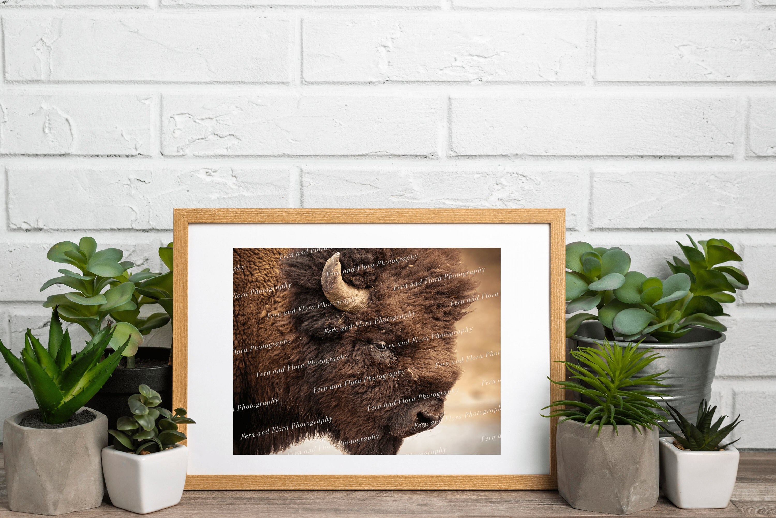 Portrait of a Bison Prints - Etsy