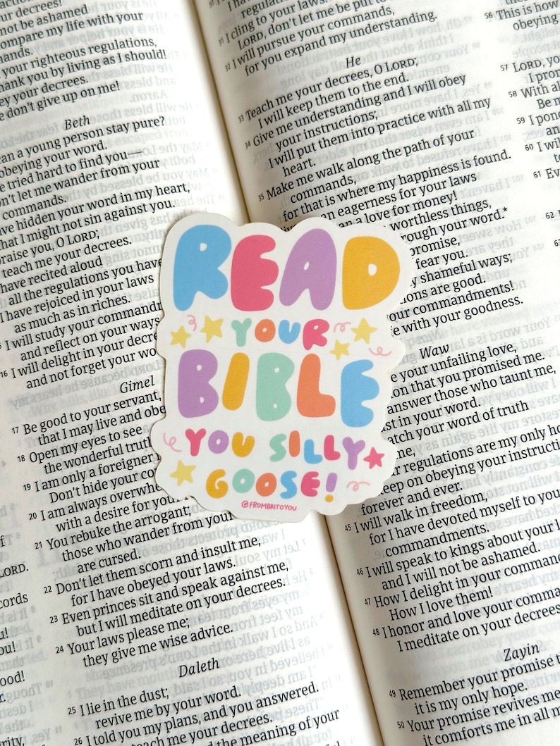 Read Your Bible You Silly Goose Sticker Christian Sticker Cute Sticker ...