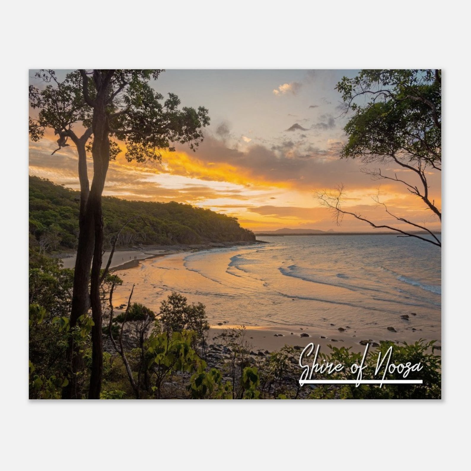 Shire of Noosa Australia Travel Poster Wall Art Shire of Noosa Home ...