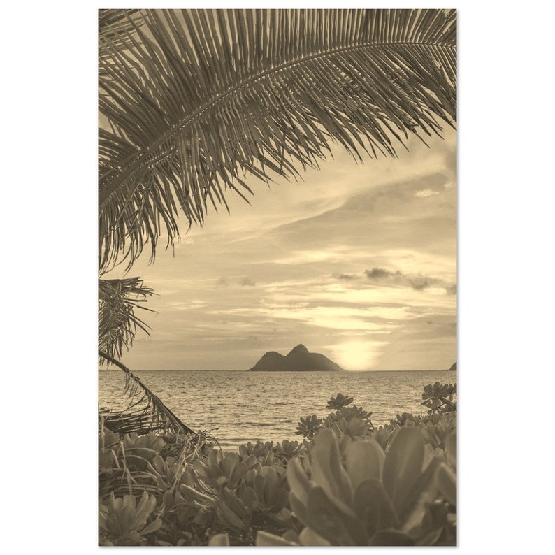 Vintage Oahu Hawaii Travel Poster: Sepia Beach Photo Print - Etsy