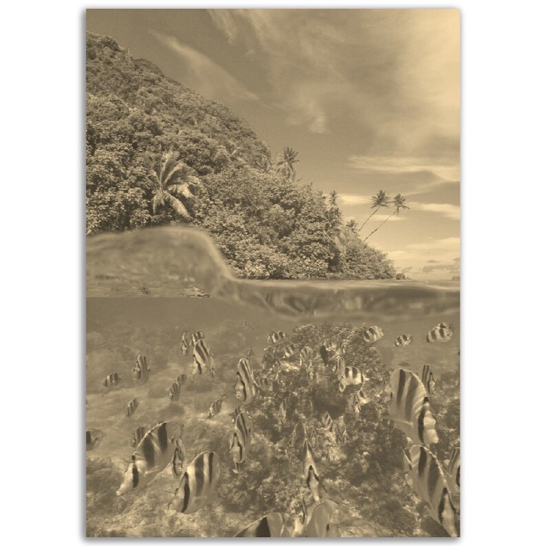 Vintage French Polynesia Poster Ocean Sea Print Retro - Etsy