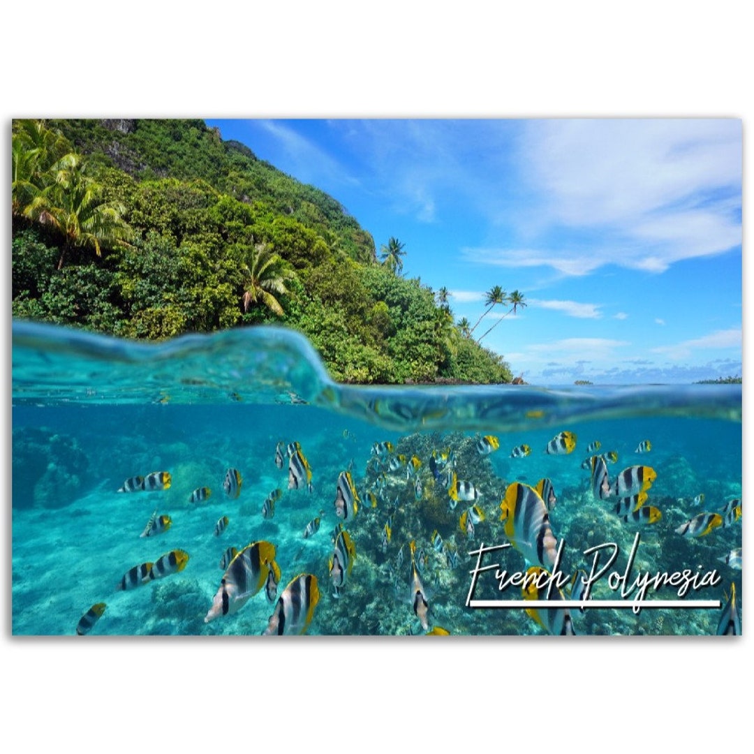 French Polynesia Wall Art Print: Tropical Island Paradise - Etsy