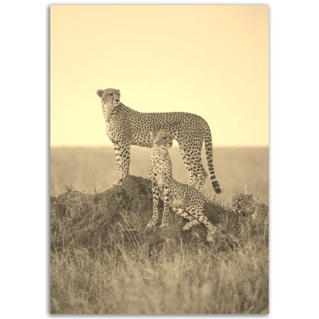 Arusha Tanzania Poster Vintage Cheetah Print | Retro Safari Sepia Photo ...