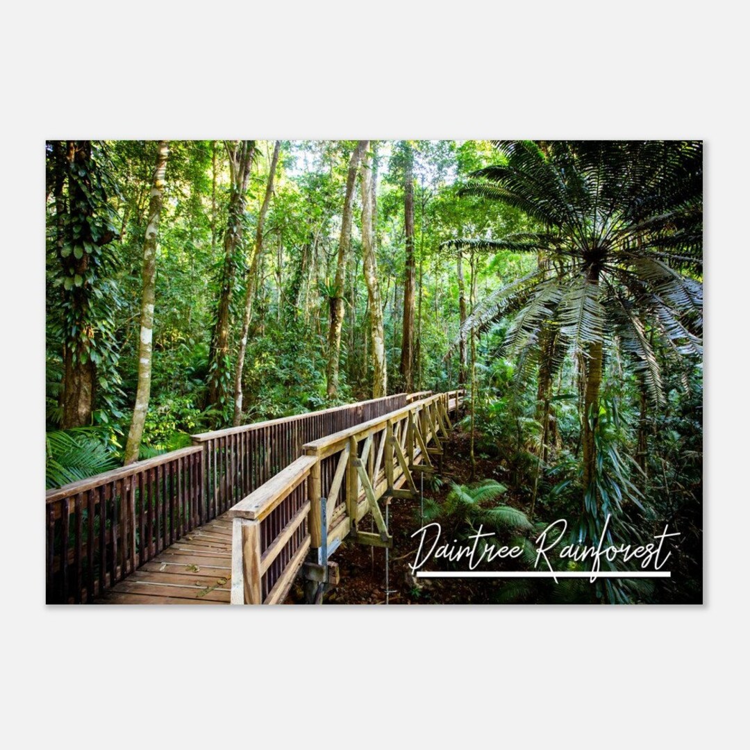 Daintree Rainforest Australia Travel Poster Wall Art Home Decor ...
