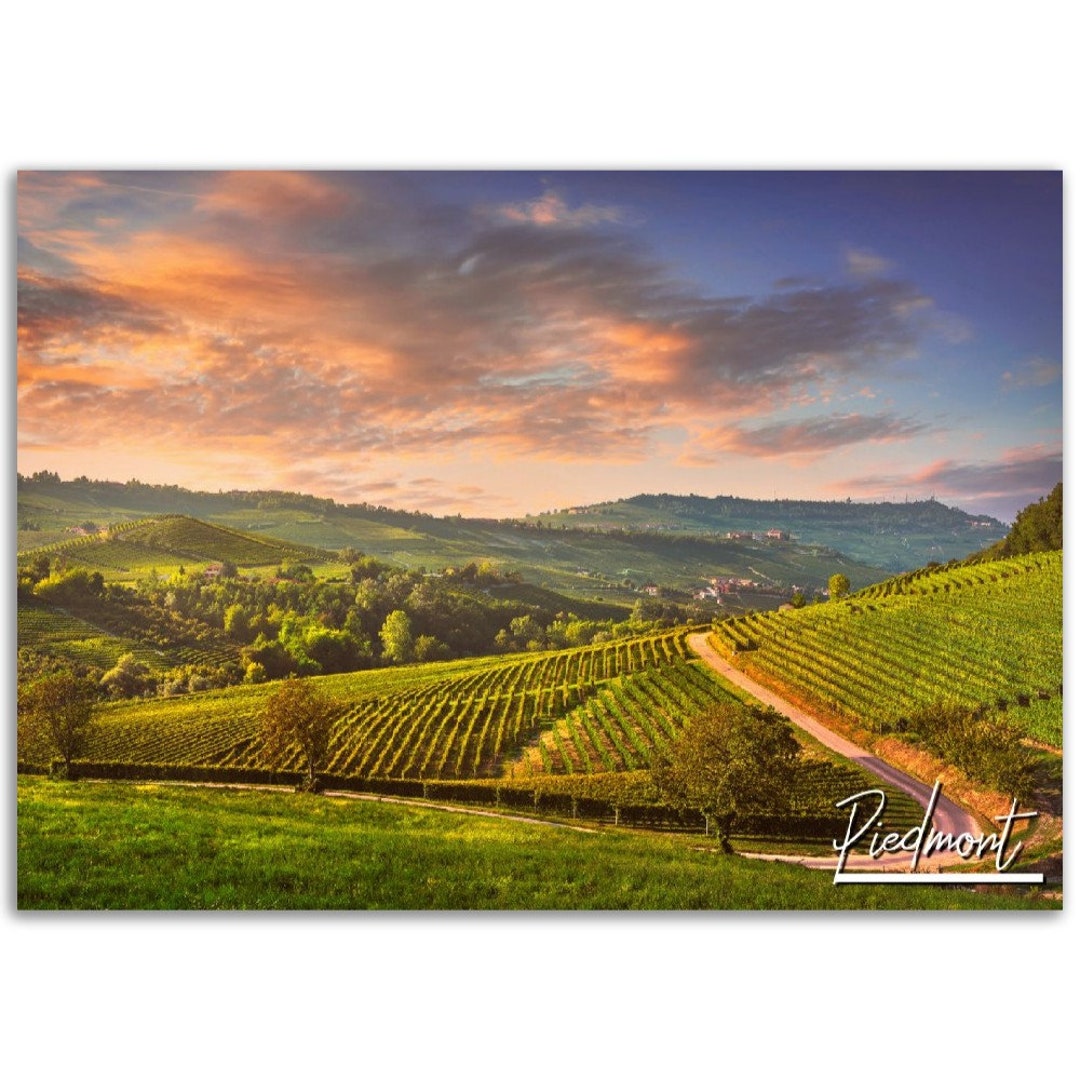 Piedmont Italy Poster: Countryside Vineyard Print - Etsy