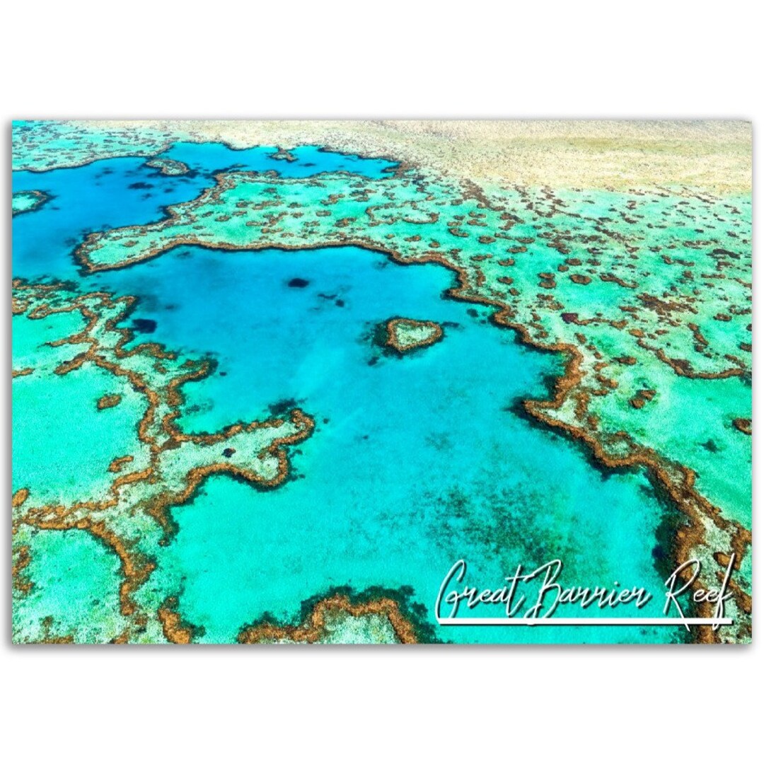 Great Barrier Reef Poster Print Wall Art Great Barrier Reef Home Decor ...