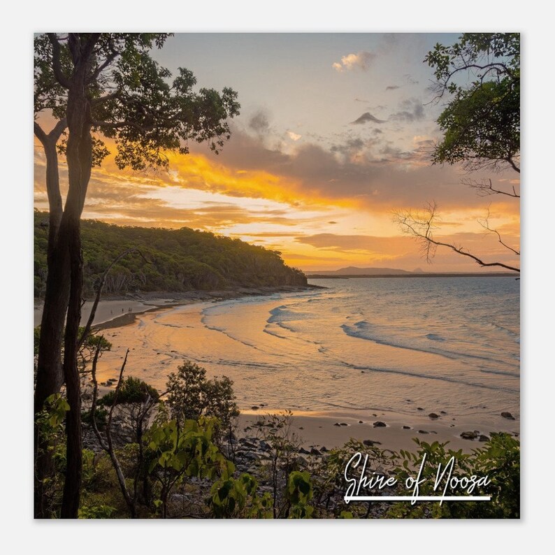 Shire of Noosa Australia Travel Poster Wall Art Shire of Noosa Home ...