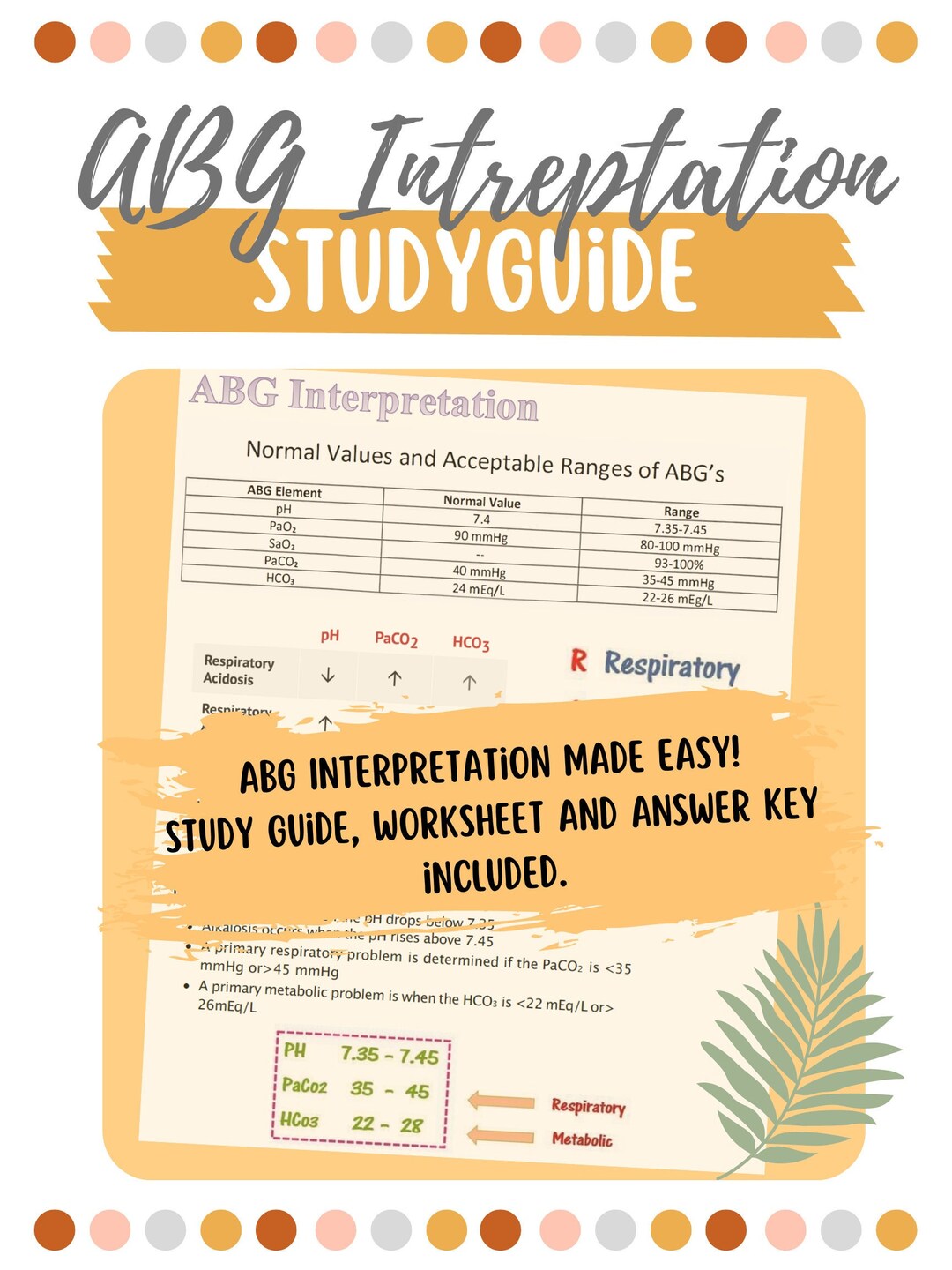 ABG Interpretation Study Guide - Etsy