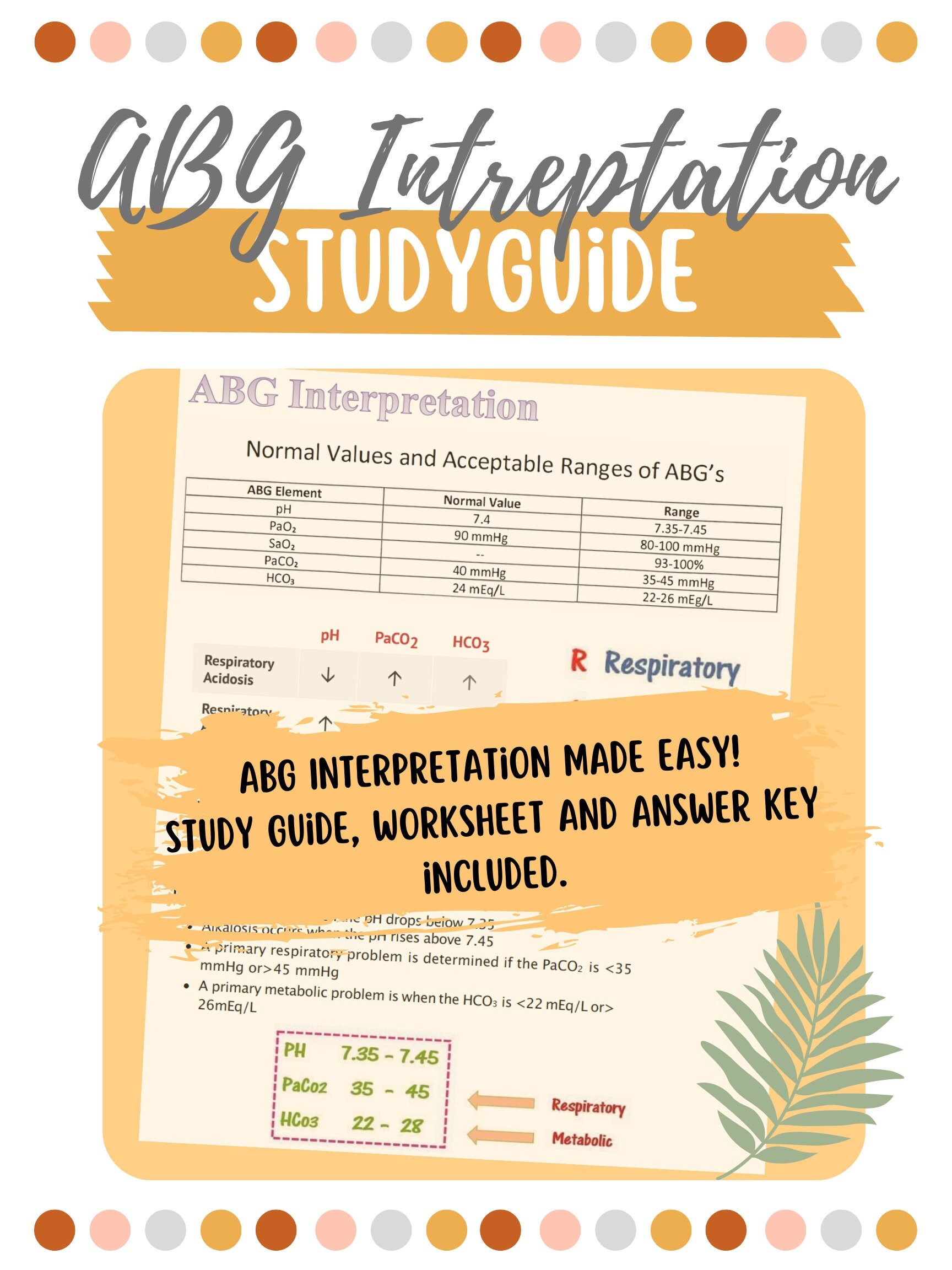 ABG Interpretation Study Guide - Etsy