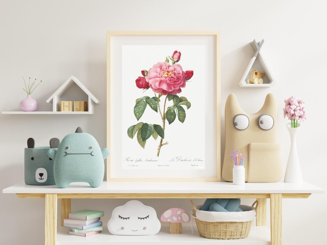 Vintage Botanical Rose Print - Rosa Gallica - Antique Floral Wall Art ...