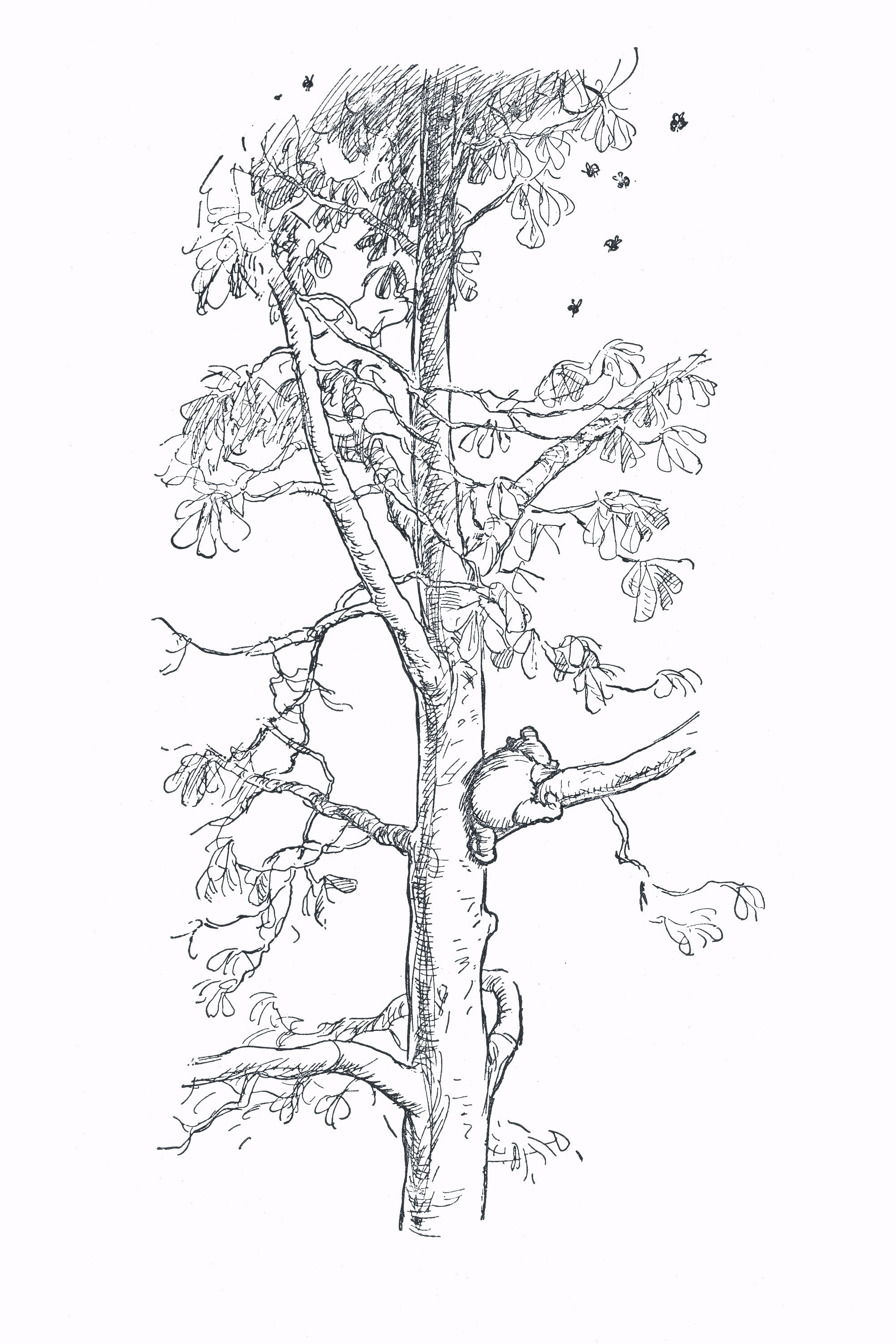 Winnie the Pooh in a Tree Piglet & Winnie the Pooh Walking 1920s ...