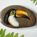 Toucan Painted Rock - Etsy
