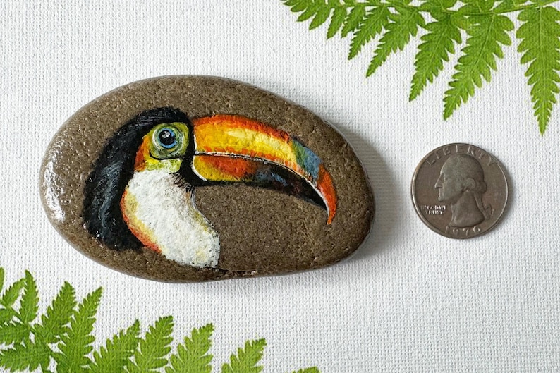 Toucan Painted Rock - Etsy