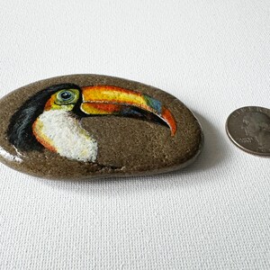Toucan Painted Rock - Etsy