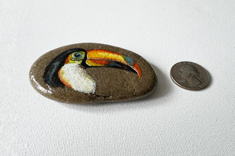 Toucan Painted Rock - Etsy