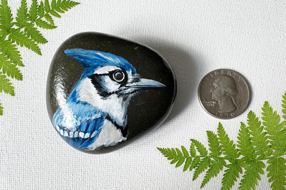 Bluejay Painted Rock - Etsy