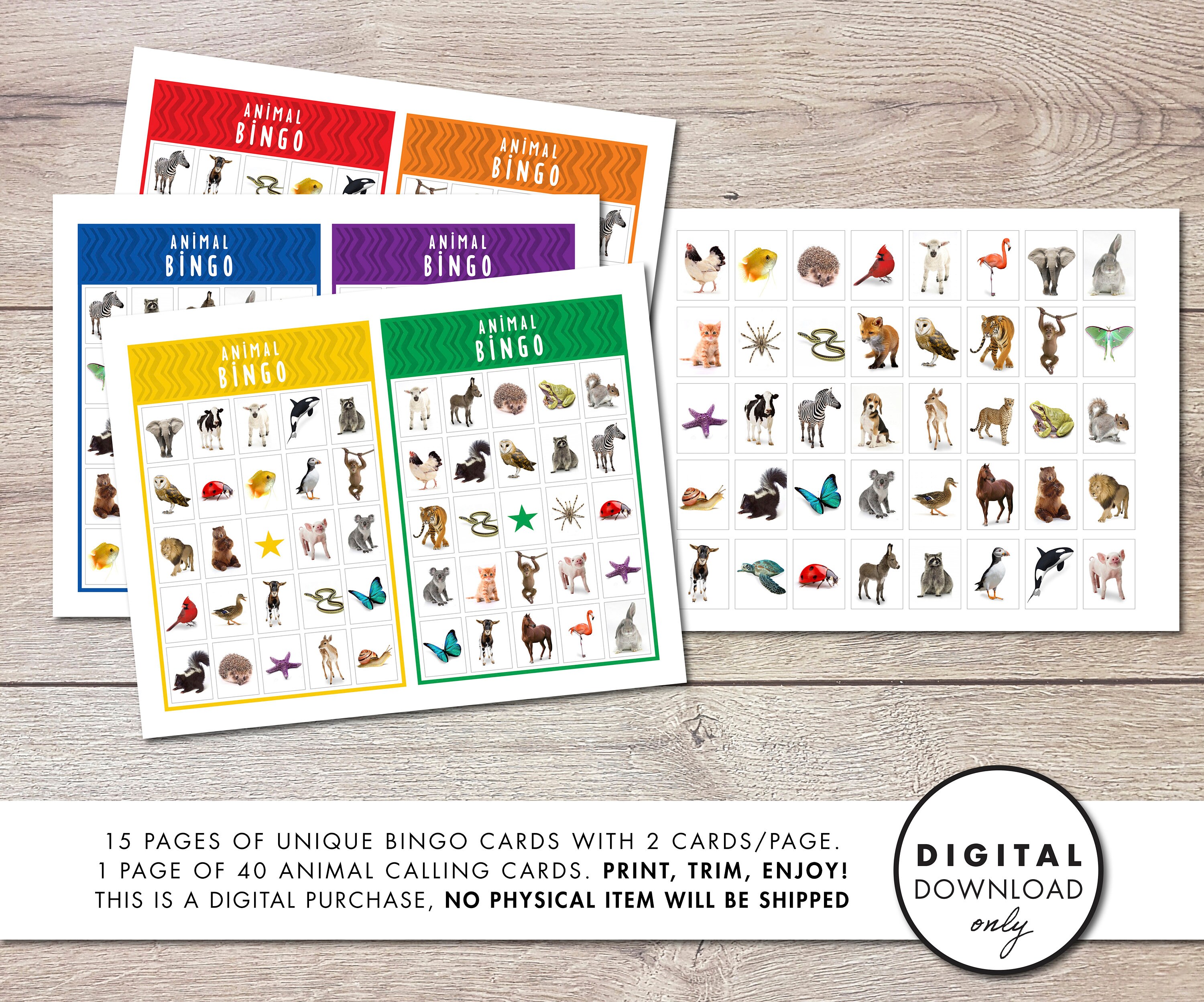Animal Bingo - PRINTABLE - Instant Download - Etsy