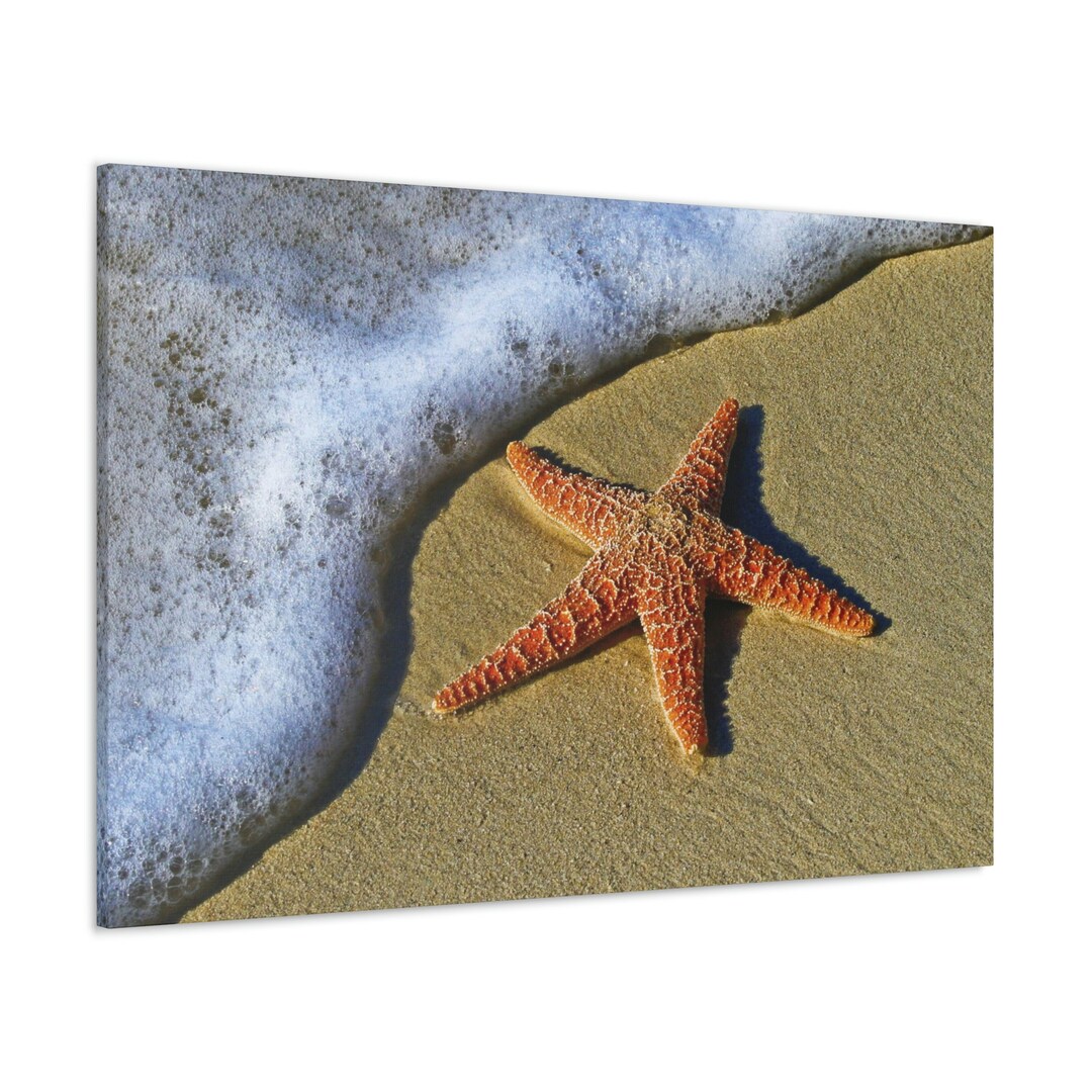 CANVAS ART - Starfish Wall Art | Starfish Wall Decor | Beach Wall Art ...